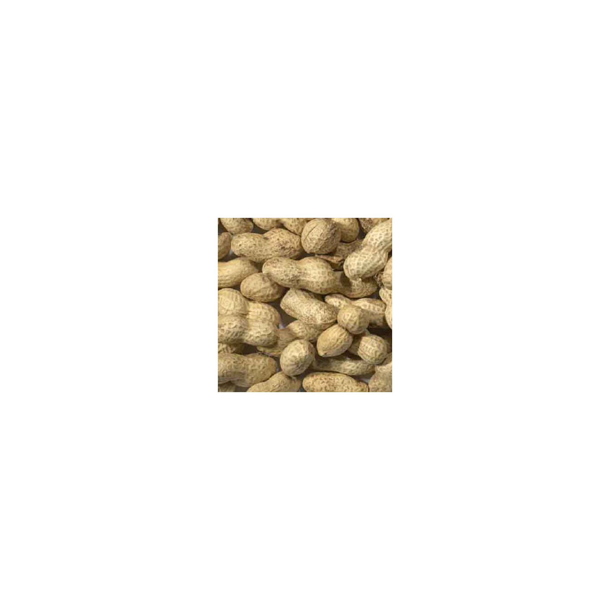 Monkey Nuts for Birds, Parrots & Squirrels