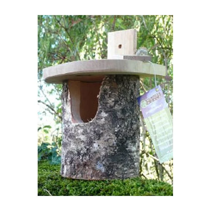 Silver Birch Robin Nest Box by Wildlife World